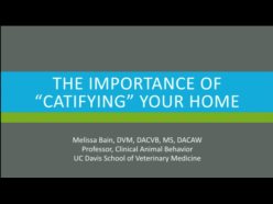 Evening with Vet Med: ‘Catifying’ Your Home